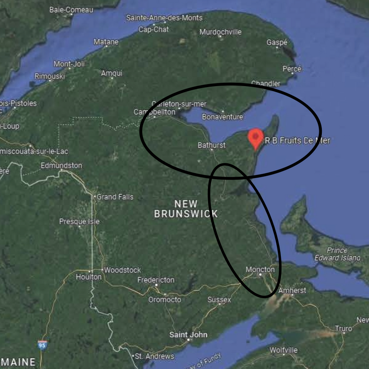 RB Seafood – Ronald Boudreau